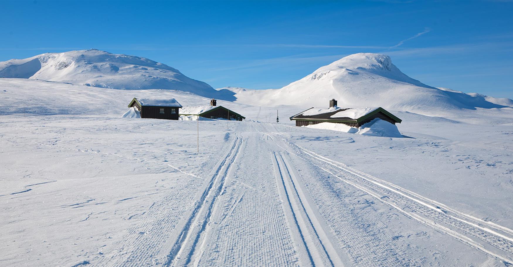 Tyin-Filefjell - Valdres